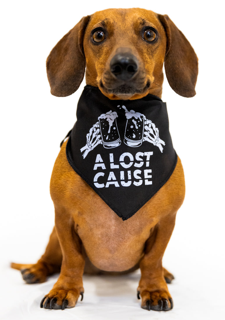 Cheers Dog Bandana – A Lost Cause